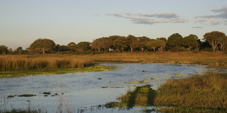 Katavi National Park – Destination Beyond Expectations